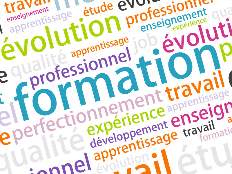 formation | SNCEEL